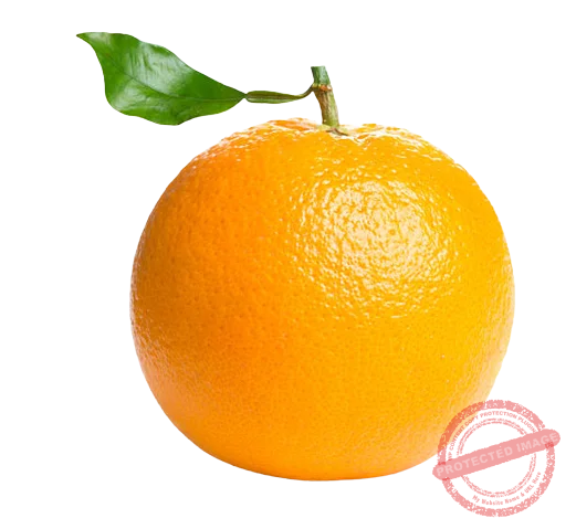 Fruit Names in Bengali and English with Images - PDF - বাংলা কুইজ